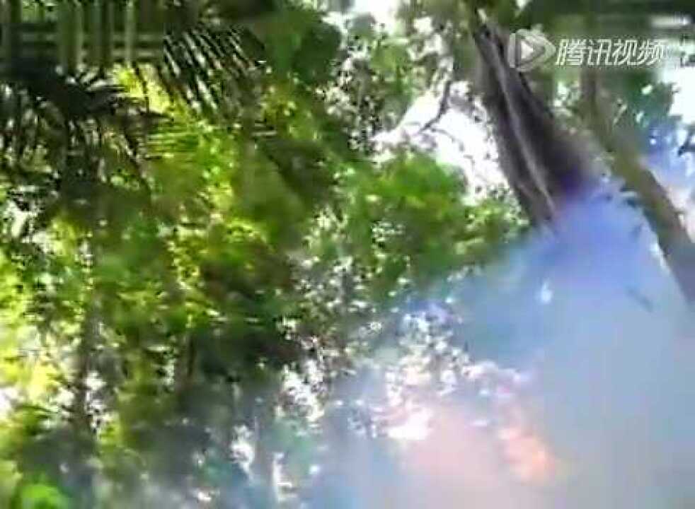 EarthSong--迈克尔杰克逊MV原版_标清_高清1080P在线观看平台_腾讯视频
