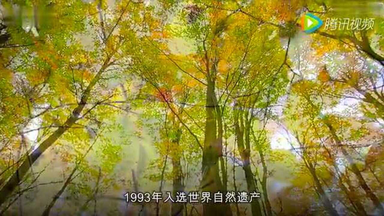 白神山地_超清_腾讯视频