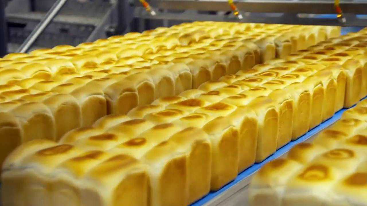 国外工厂流水线生产面包，每周消耗千吨小麦，制造150万条面包_高清1080P在线观看平台_腾讯视频