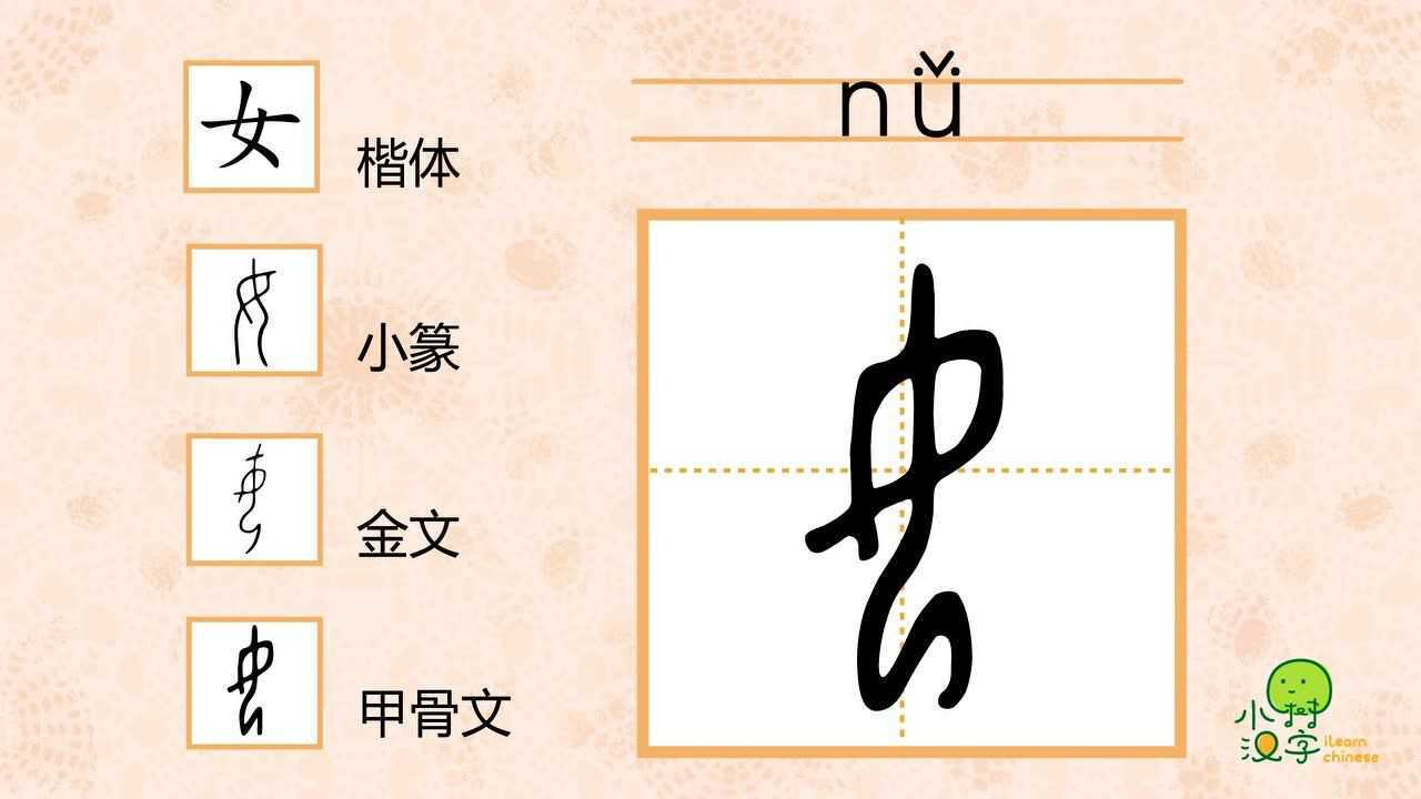 小树汉字）—女字演变动画_腾讯视频