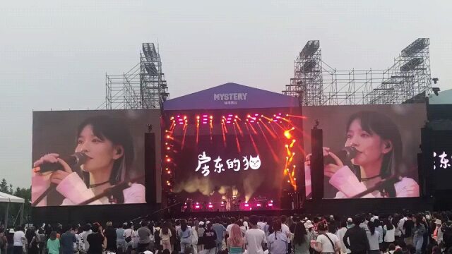 房东的猫演唱会_腾讯视频