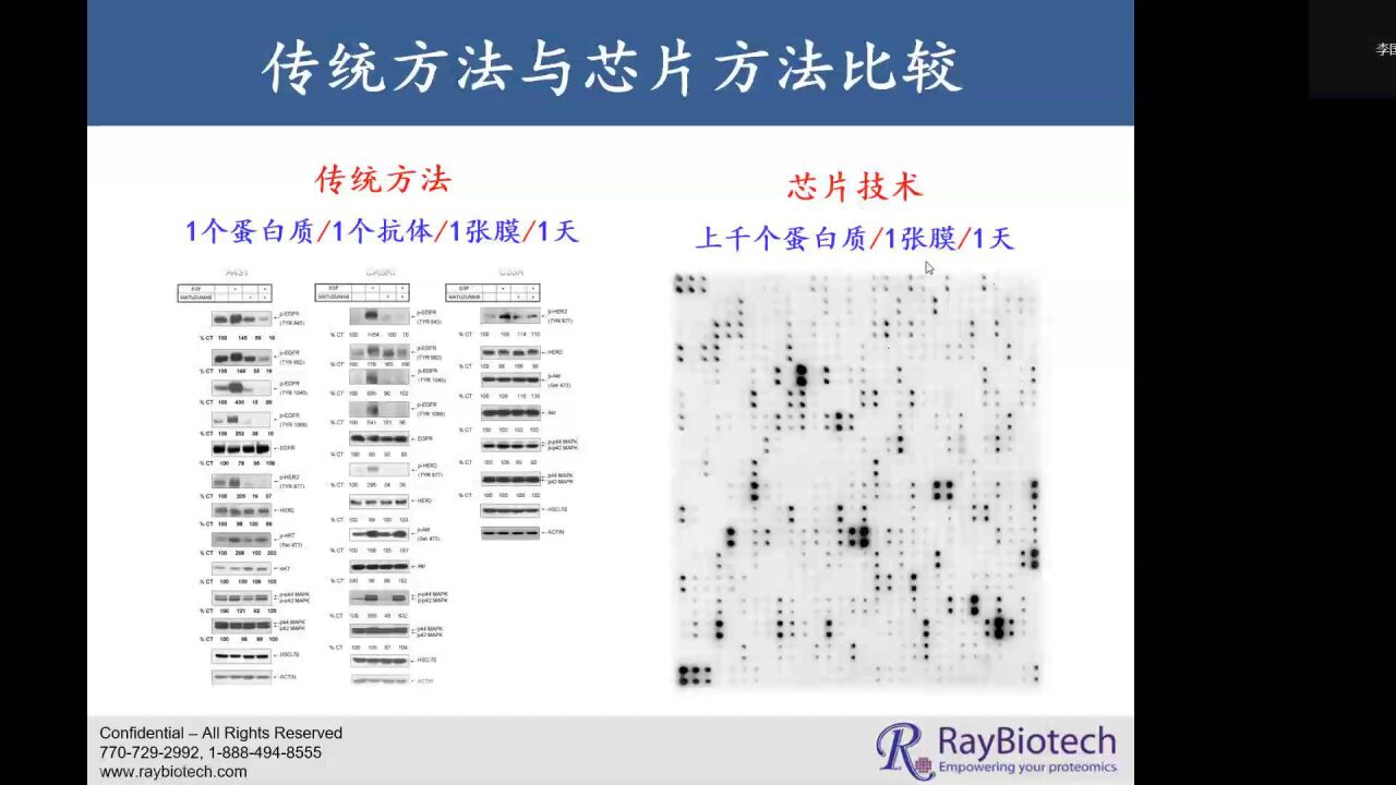 RayBiotech分享：蛋白质芯片技术在机制研究中的应用_高清1080P在线观看平台_腾讯视频