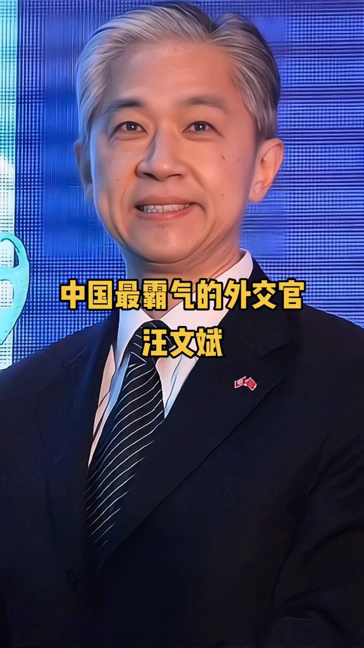 中国最霸气的外交官汪文斌高清1080p在线观看平台腾讯视频