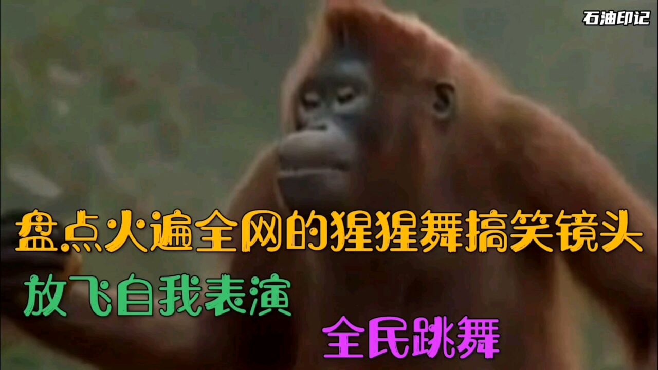 盘点火遍全网的猩猩舞搞笑镜头，放飞自我表演，全民跳舞！_高清1080P在线观看平台_腾讯视频