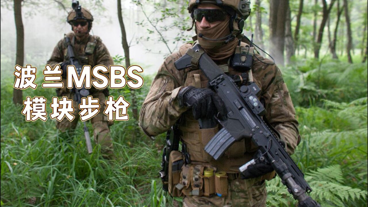 世界大战3：波兰的MSBS模块化突击步枪，一枪多用样样精通！_高清1080P在线观看平台_腾讯视频