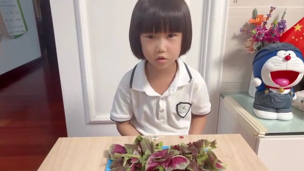 新洲幼儿园小小美食家——西区大三班张楹芝_高清1080P在线观看平台_腾讯视频
