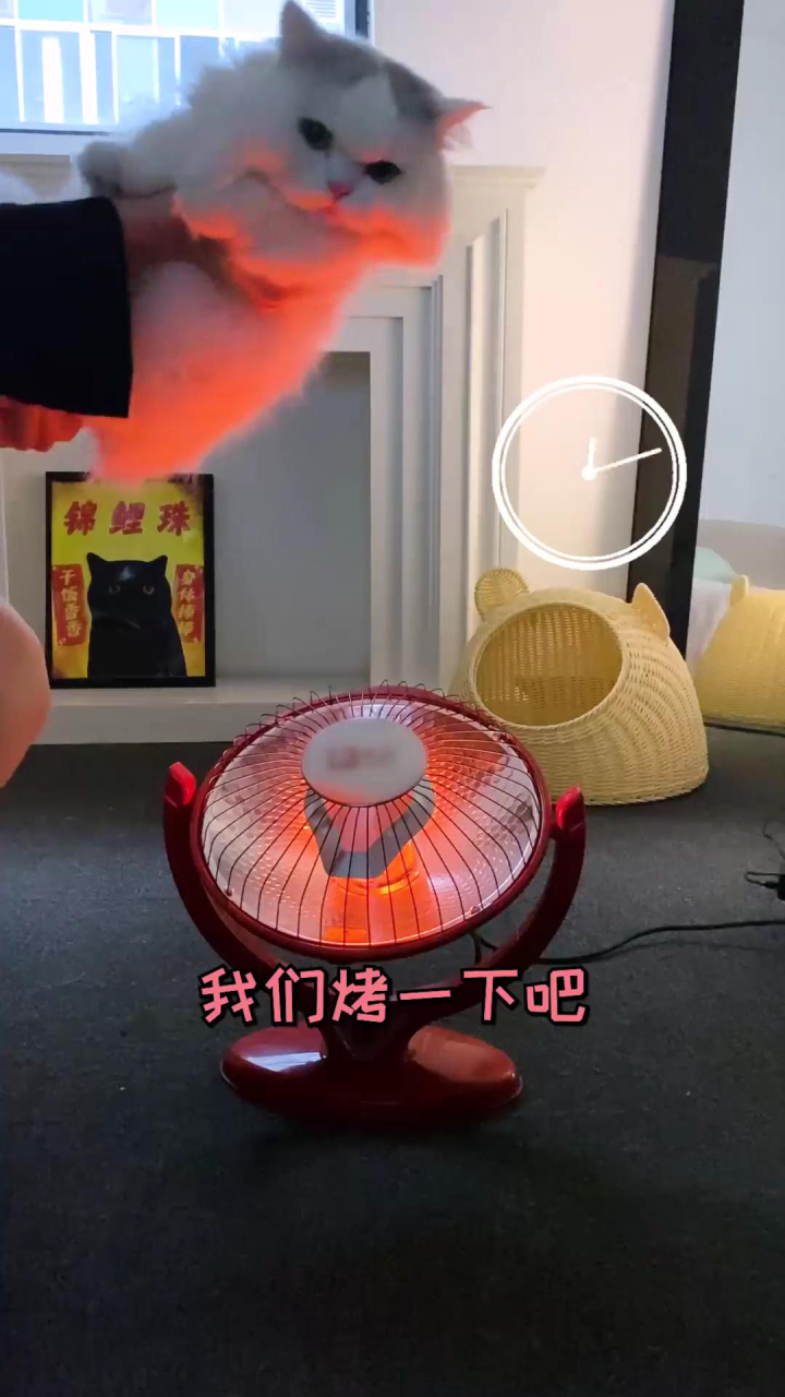 我的小黑猫以后不会再变成白猫了吧！#黑猫_腾讯视频}