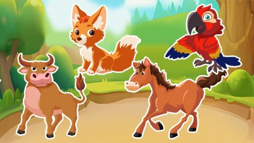 宝宝早教动画：认识动物金刚鹦鹉，马，狐狸，水牛_高清1080P在线观看平台_腾讯视频