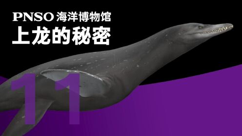 第11集在侏罗纪早期的法国海洋中畅游的寒泳龙-凯德_第11集在侏罗纪早期的法国海洋中畅游的寒泳龙-凯德_少儿_动画片大全_腾讯视频