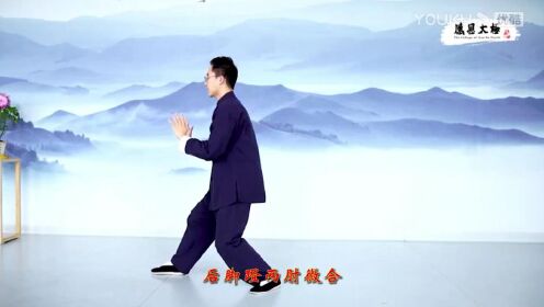 传统杨氏太极拳85式分式讲解（全套动作）_高清1080P在线观看平台_腾讯视频