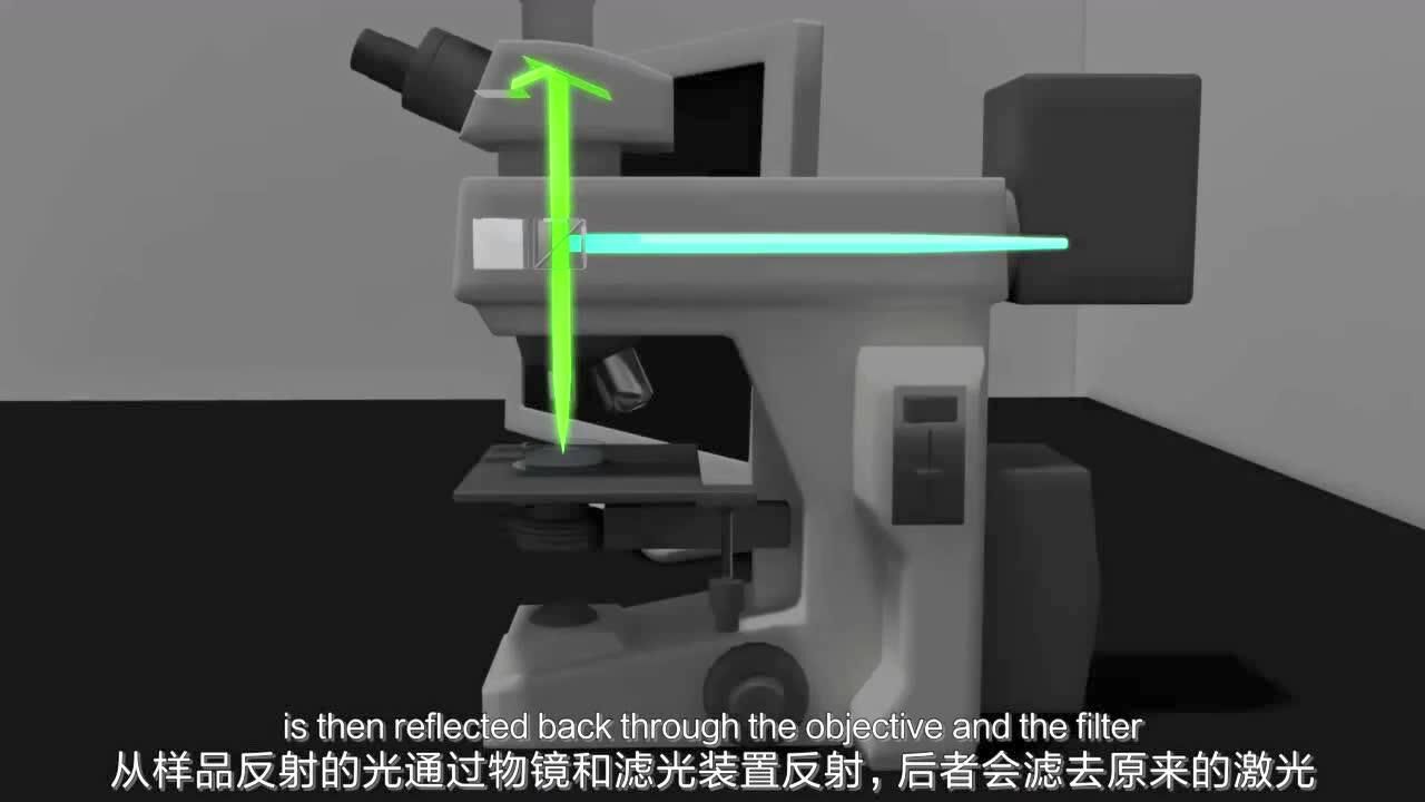 荧光显微镜光路原理_高清1080P在线观看平台_腾讯视频