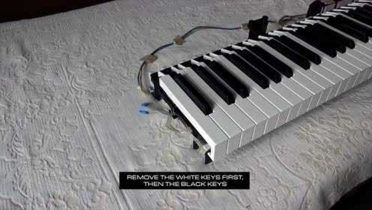 Fatar TP-100LR on SL88 Studio_腾讯视频