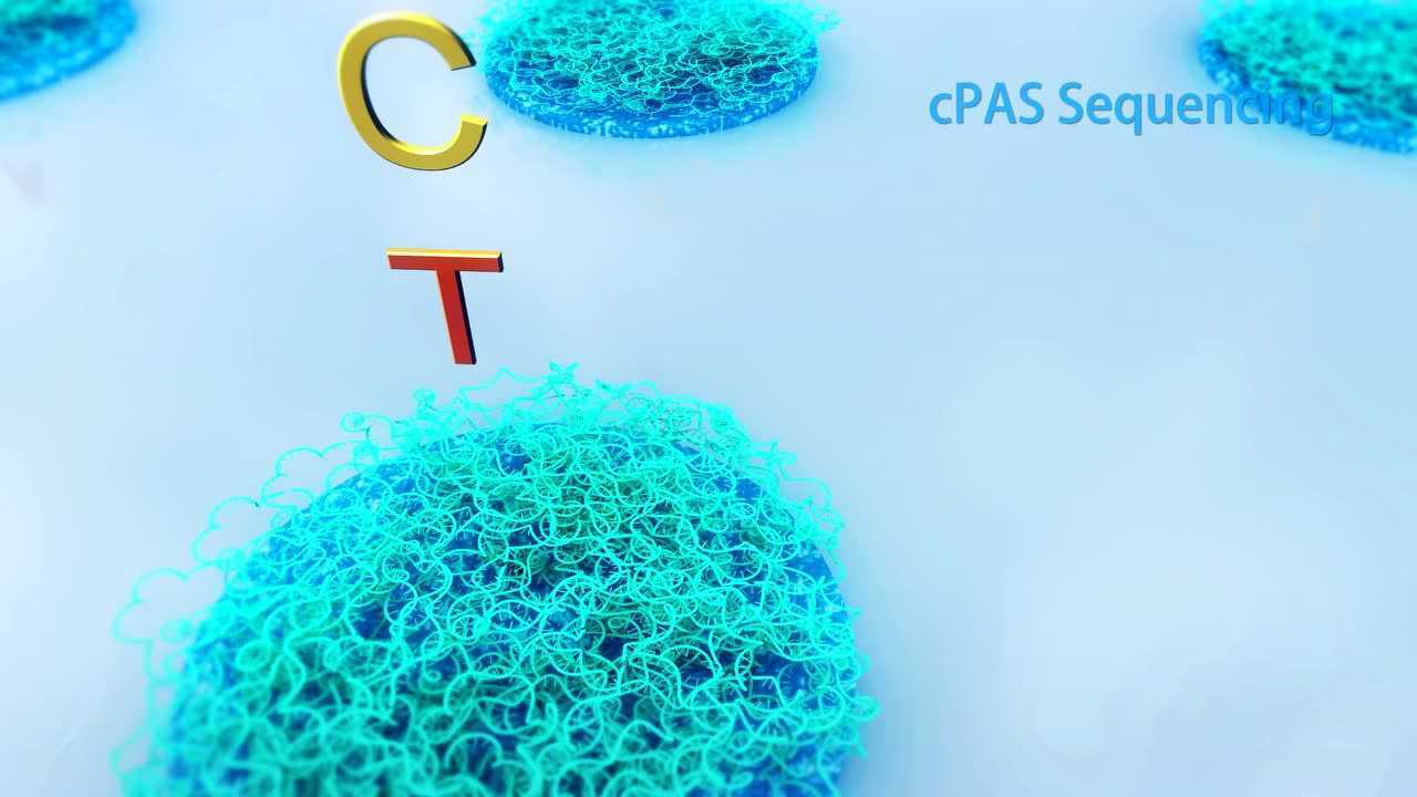 MGI-测序仪原理_clip_腾讯视频