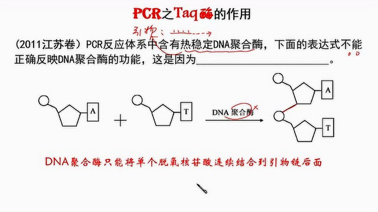 高中生物微课：PCR之Taq酶的作用_高清1080P在线观看平台_腾讯视频