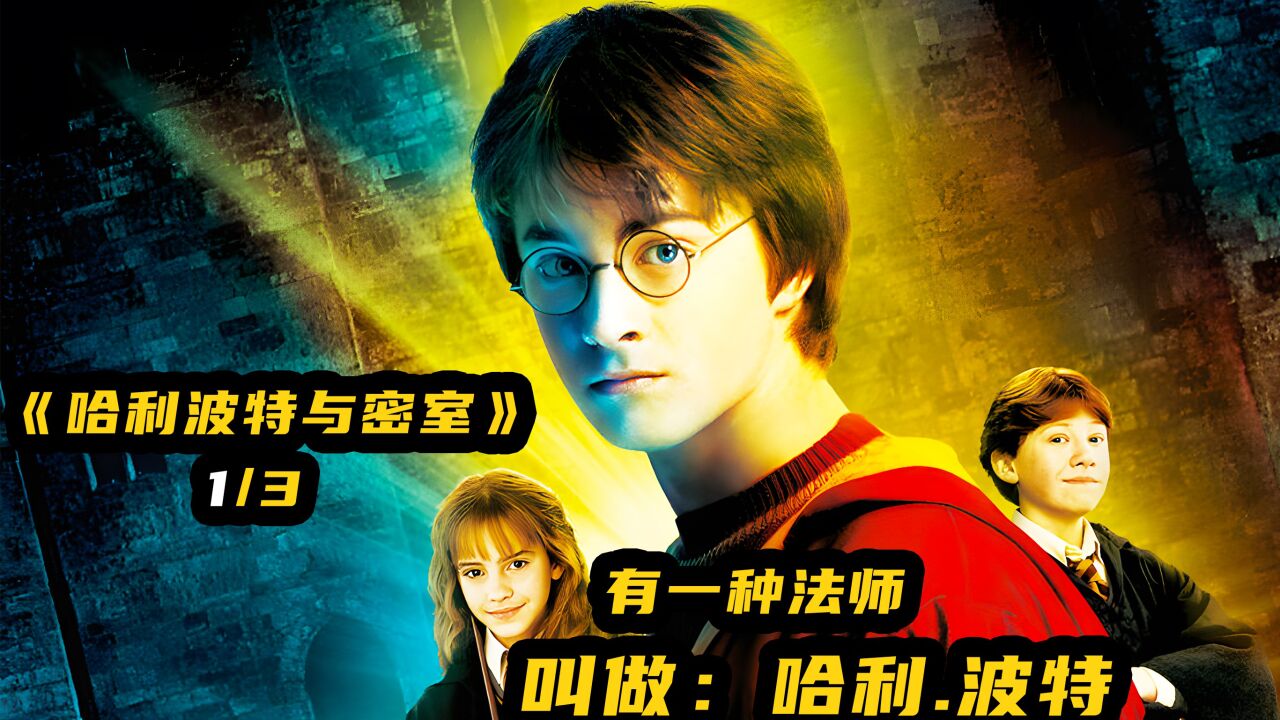 《哈利波特与密室》有一种法师，叫做哈利.波特_腾讯视频