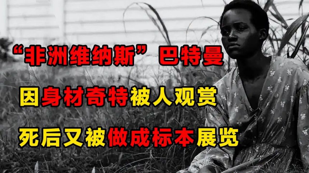 非洲维纳斯，因身材奇特被人观赏，死后又被做成标本展览200年！_腾讯视频