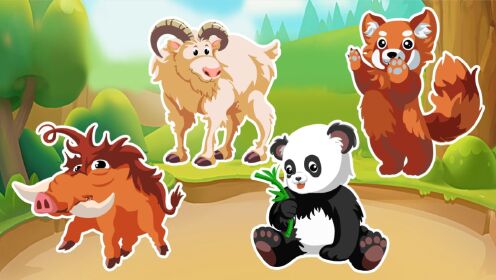 宝宝早教动画：认识动物小熊猫，山羊，熊猫，野猪_高清1080P在线观看平台_腾讯视频