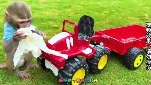 小猴子趣味乐园：爱学习邦邦一边上厕所一边看书，然后开心去上学#小猴子趣味乐园#萌宠#儿童#搞笑_高清1080P在线观看平台_腾讯视频