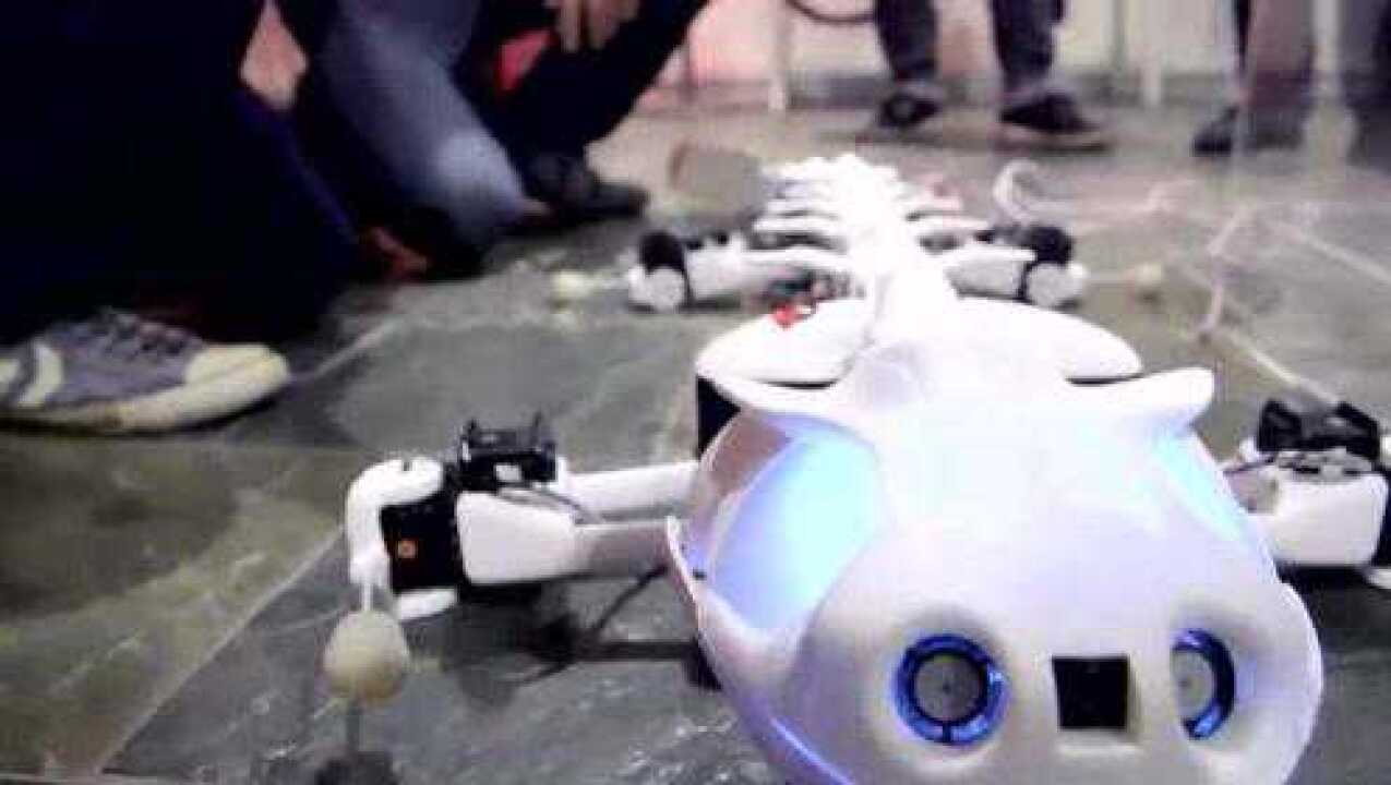 Pleurobot；水陆双栖的蝾螈机器人！_高清1080P在线观看平台_腾讯视频