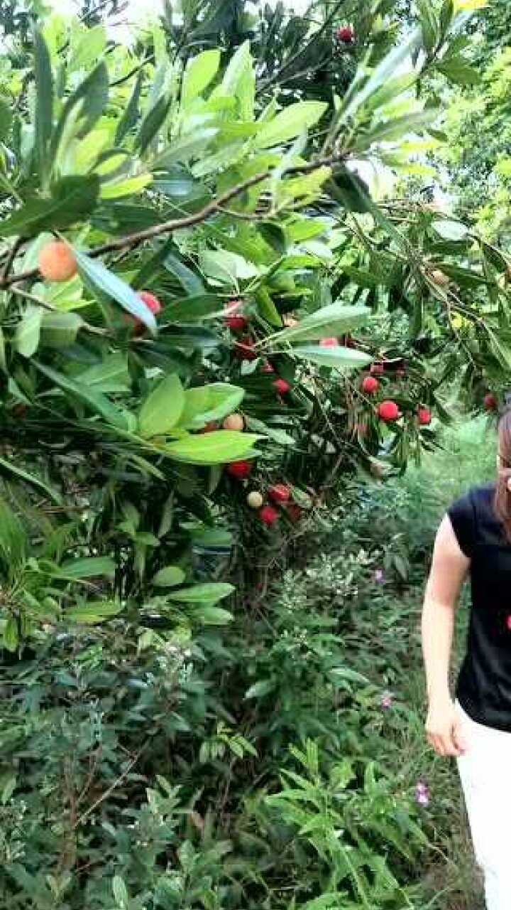 9999999999_高清1080P在线观看平台_腾讯视频