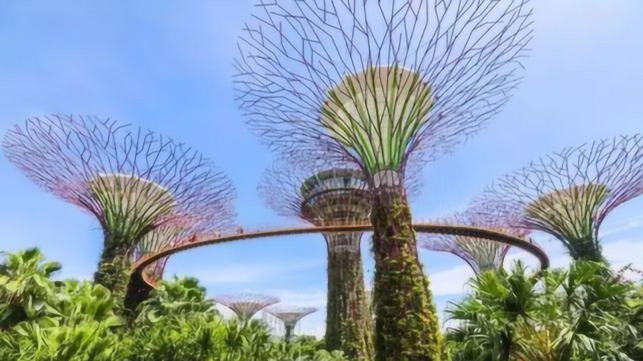 10亿建新加坡新“森林”：一颗树冠近90吨，覆盖各种奇花异草_高清1080P在线观看平台_腾讯视频