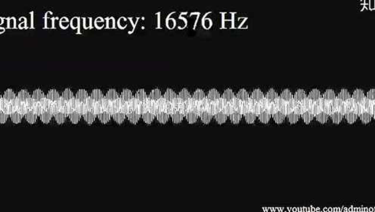 超声波：听说，人耳只能听到20-20000Hz的声音？你能听到多少？_高清1080P在线观看平台_腾讯视频