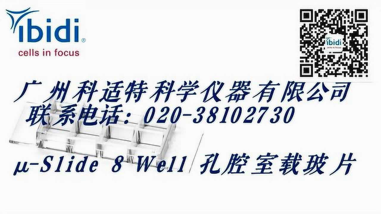 ibidi_μ-Slide8Well腔室载玻片细胞培养与显微镜观察_高清1080P在线观看平台_腾讯视频