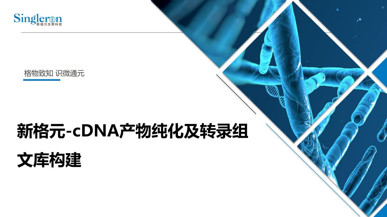 新格元-cDNA产物纯化及转录组文库构建_腾讯视频