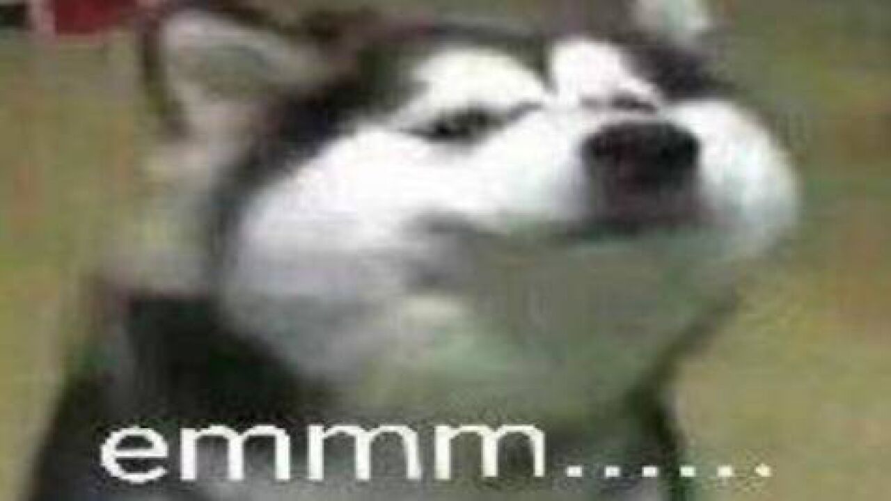 emmm(网络流行词)_搜狗百科