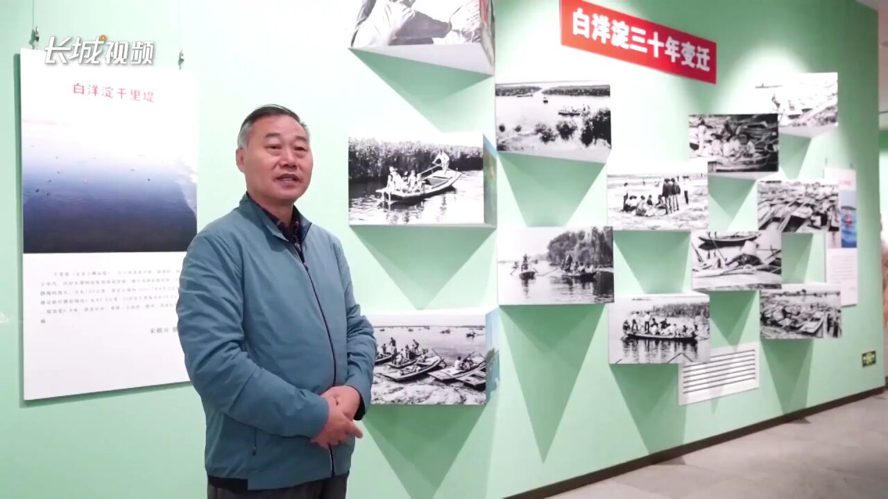 内行看门道丨杨越峦：《白洋淀三十年变迁》展现光影力量 高清1080p在线观看平台 腾讯视频