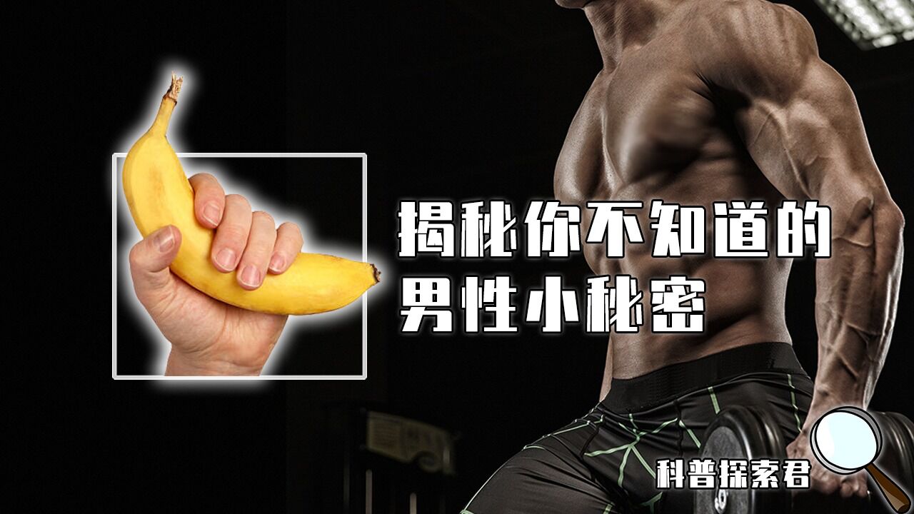 男性的 弟弟”有多长?为何小孩大人都要割包皮?割完能上厕所吗高清1080p在线观看平台腾讯视频