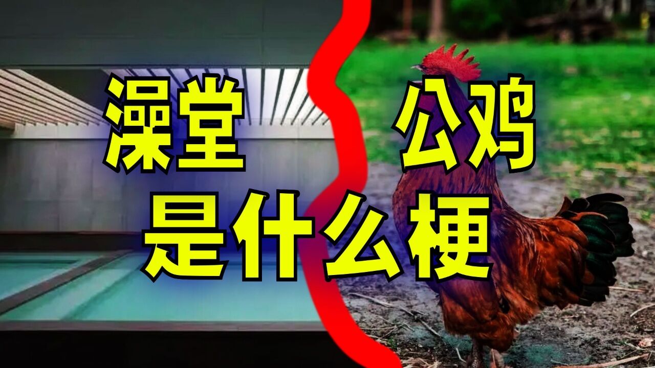 爆笑解说：你知道公鸡澡堂是什么梗吗？腾讯视频