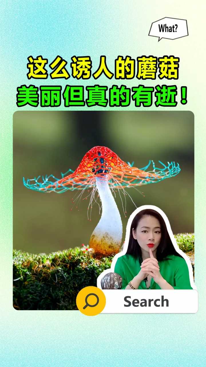 3D数字艺术家Luke·Penry制作的蘑菇，美丽但有逝_高清1080P在线观看平台_腾讯视频