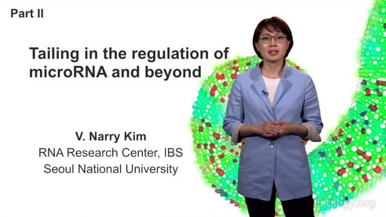 V.NarryKim(IBSandSNU)1_腾讯视频