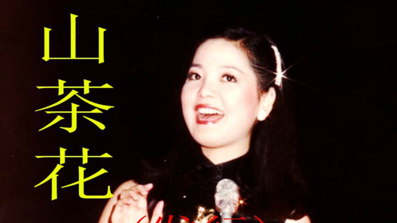 邓丽君好听的经典歌曲《山茶花》_高清1080P在线观看平台_腾讯视频