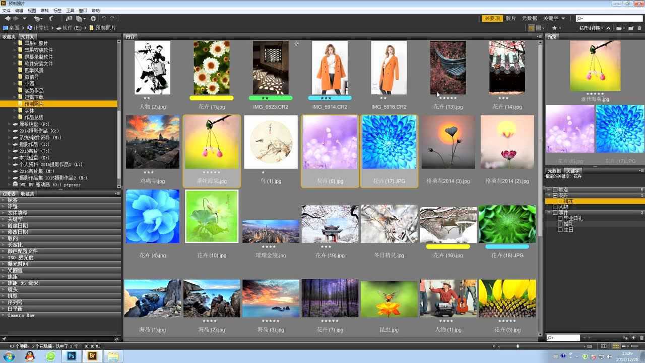 Adobe Bridge 照片管理系统详解6_腾讯视频