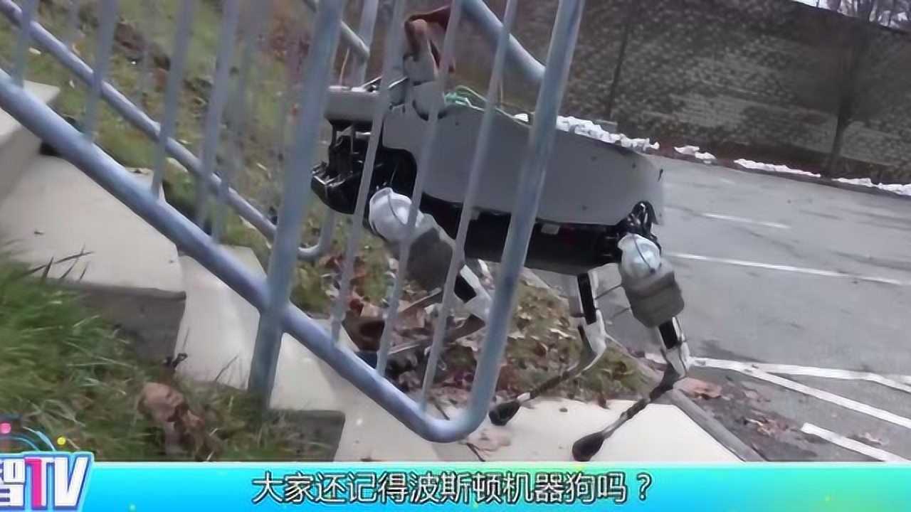BionicWheelBot蜘蛛机器人能跑能跳_腾讯视频