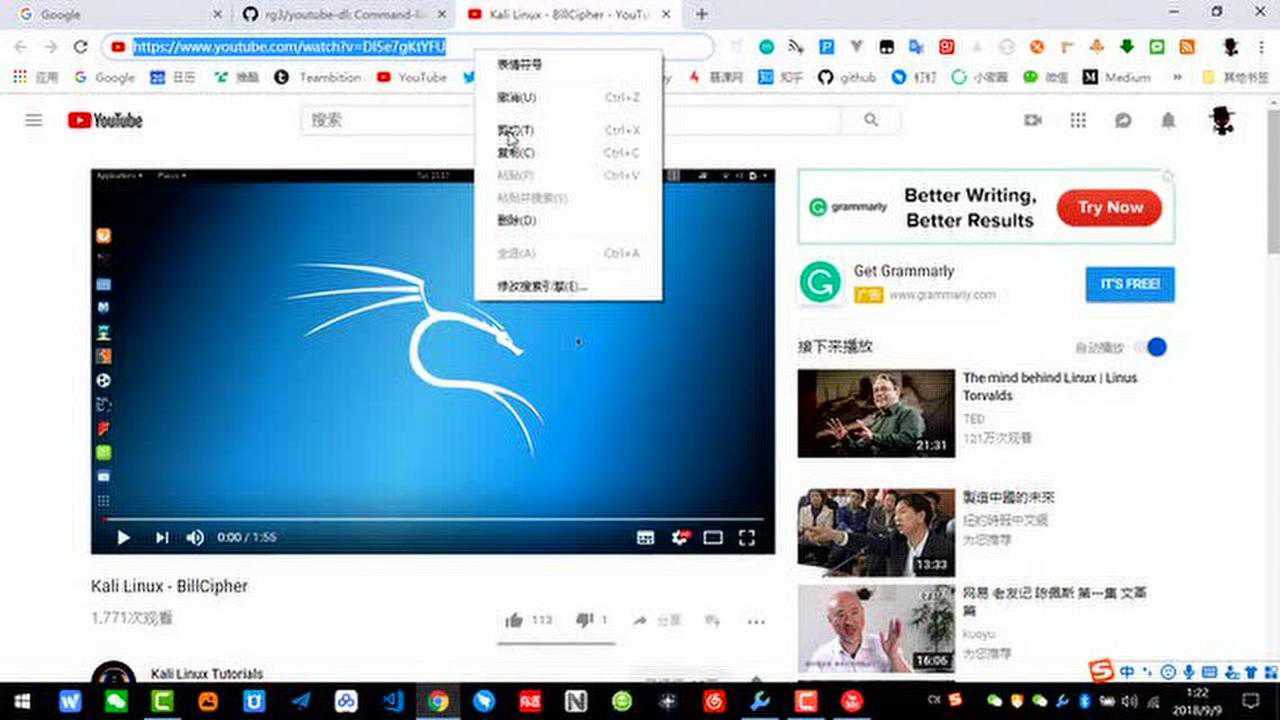 Youtube自动下载+中文字幕+内嵌合成~上传腾讯视频-_腾讯视频