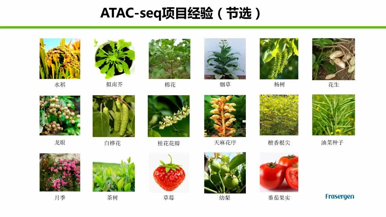 ATAC-Seq原理与分析_高清1080P在线观看平台_腾讯视频