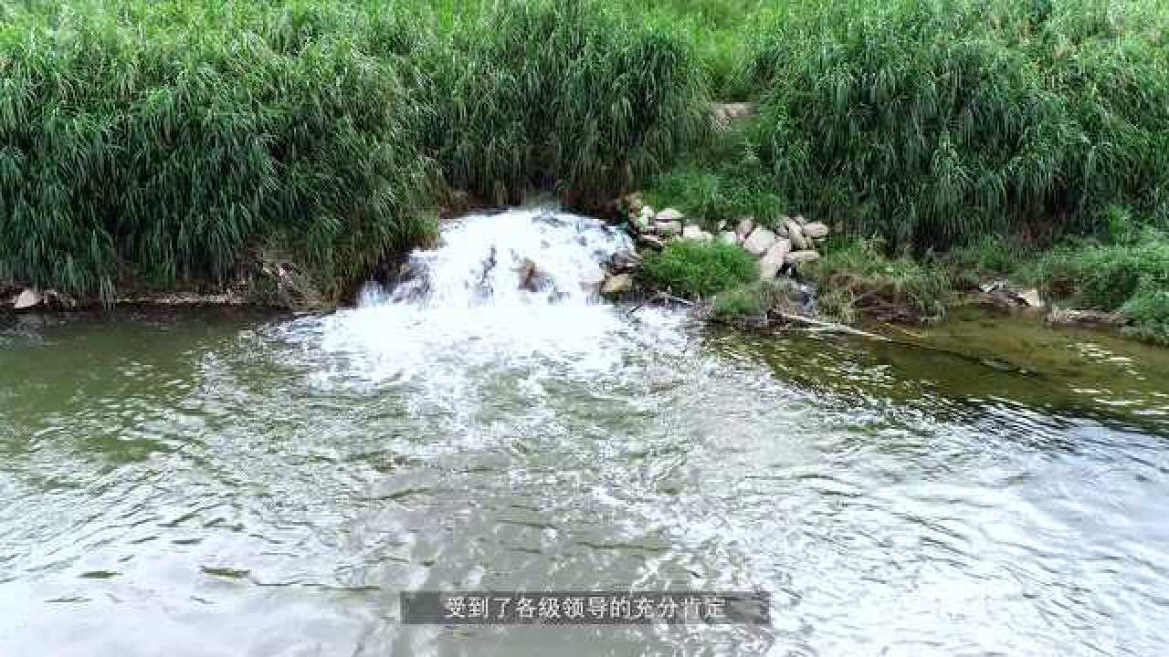 RPIR 快速生化污水处理技术领域的新星_腾讯视频