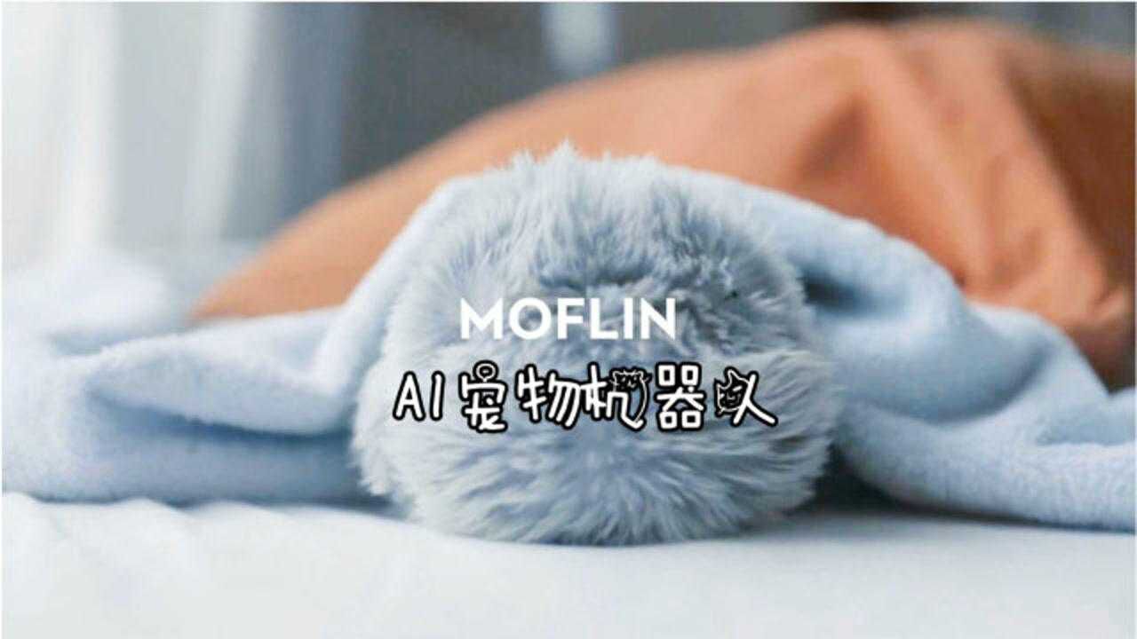 这个小可爱叫MOFLIN，是一个AI宠物机器人_高清1080P在线观看平台_腾讯视频