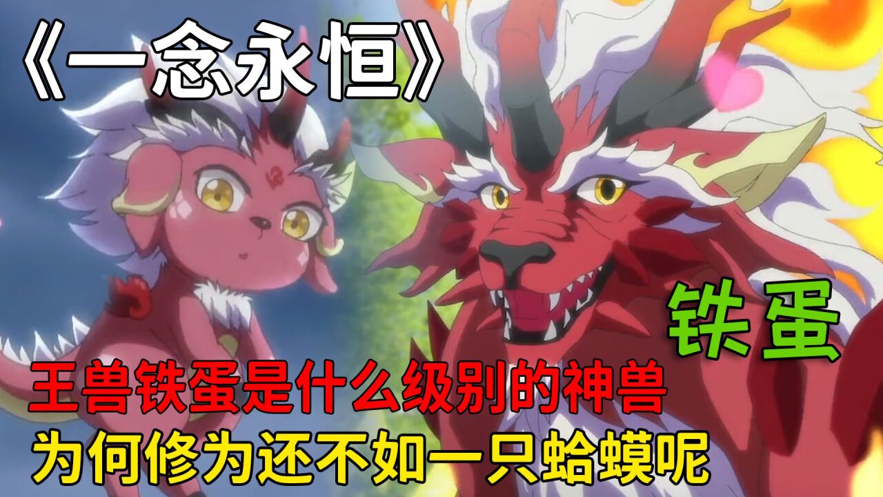 一念永恒：王兽铁蛋是什么级别的神兽，为何修为还不如一只蛤蟆呢？_高清1080P在线观看平台_腾讯视频