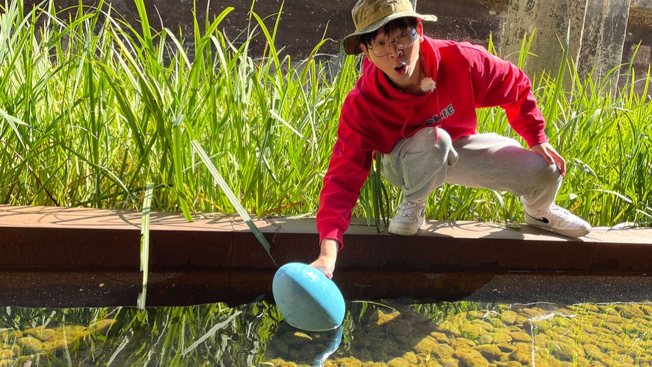 在水里捡到了巨型恐龙蛋，里面藏着爆龙战车6的变形玩具_高清1080P在线观看平台_腾讯视频