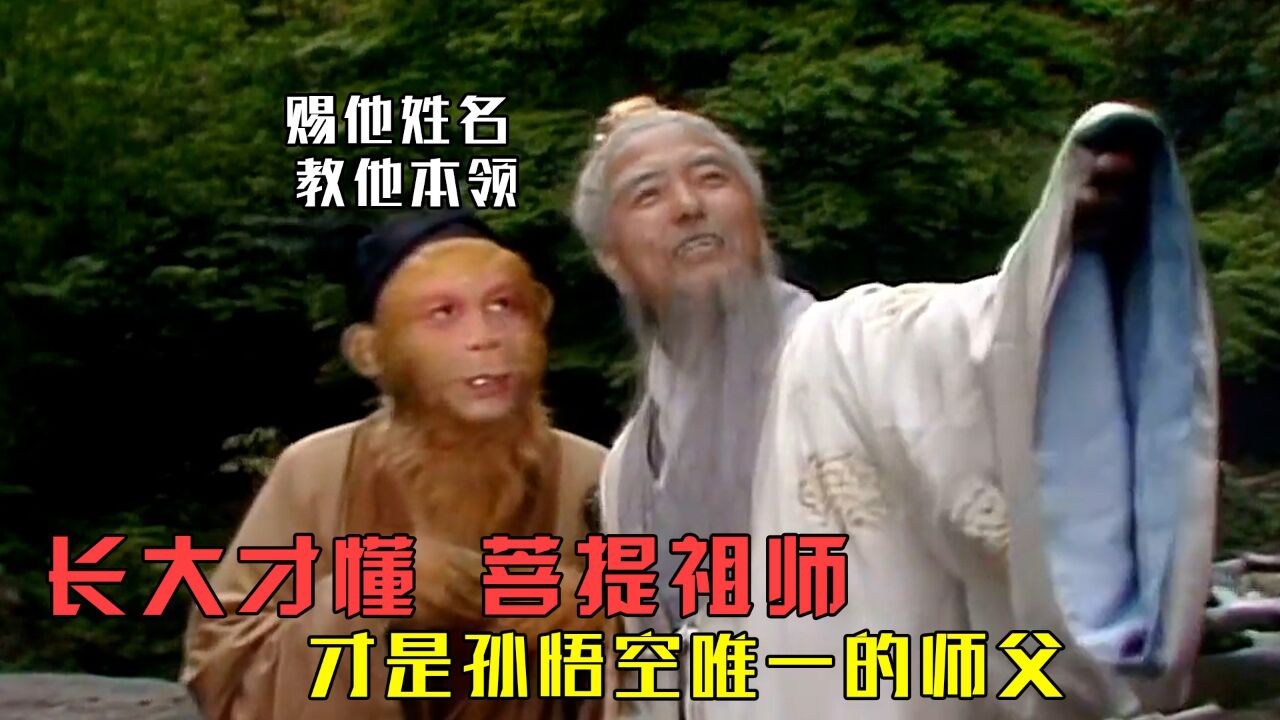 长大才懂师傅和师父差别这么大:菩提祖师才是孙悟空唯一的师父高清1080p在线观看平台腾讯视频