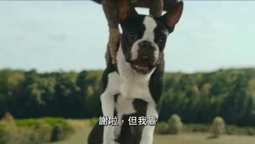 兽性大发！R级狗片！爆笑复仇喜剧《流浪狗》新预告，杰米·福克斯+威尔·法瑞尔+艾拉·菲舍尔_高清1080P在线观看平台_腾讯视频