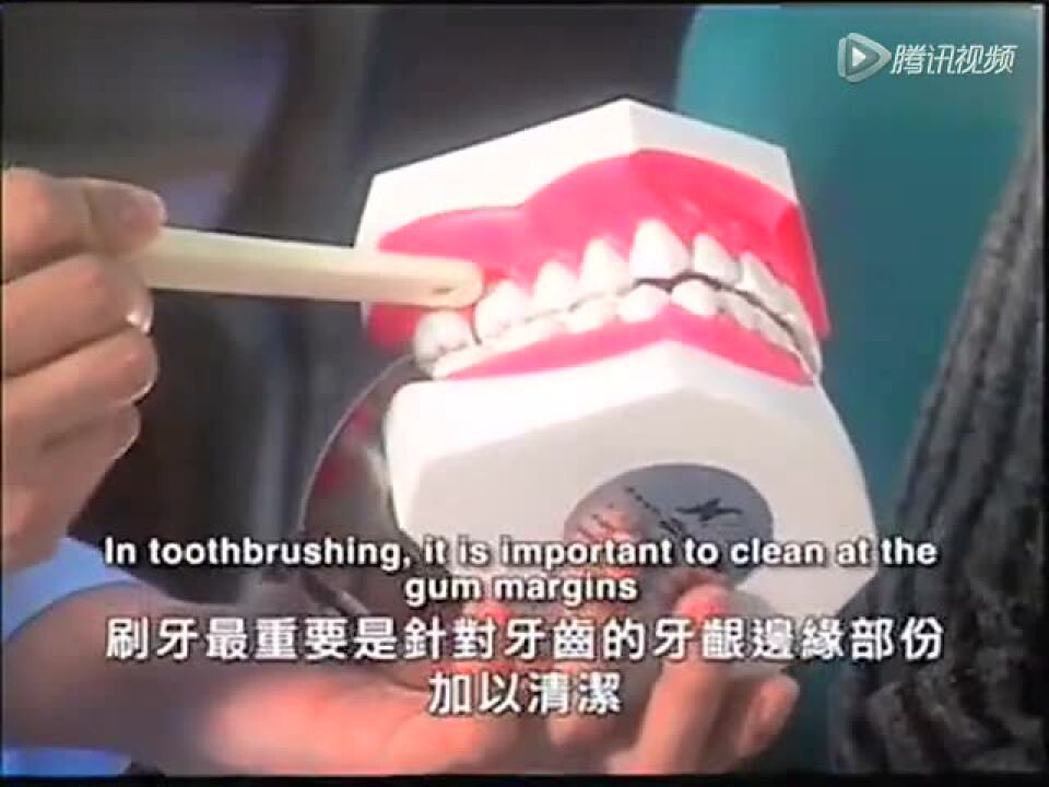 巴氏刷牙法腾讯视频