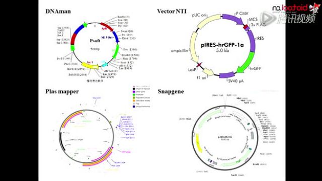 SnapGene软件教学_腾讯视频