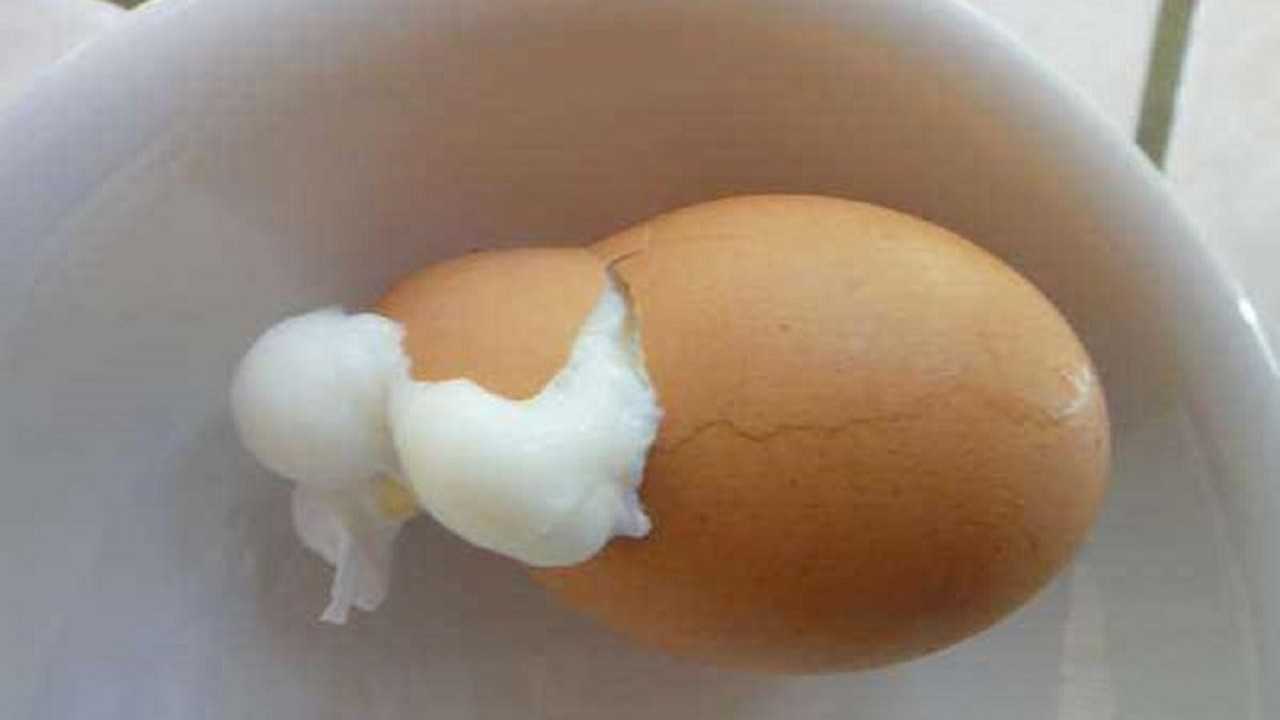 做白水煮鸡蛋时，蛋壳总是裂开？掌握这个技巧，鸡蛋个个完整_高清1080P在线观看平台_腾讯视频