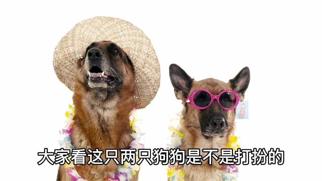 英语小知识14：hat与cap的区别_腾讯视频