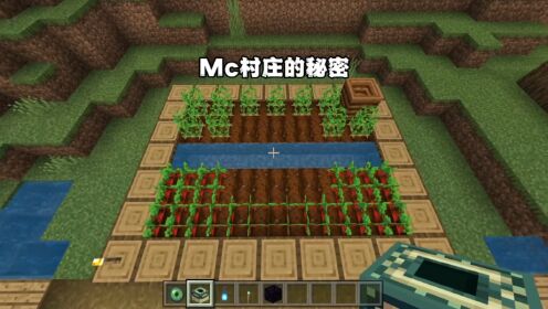 我的世界：Mc村庄的秘密你知道吗？_高清1080P在线观看平台_腾讯视频
